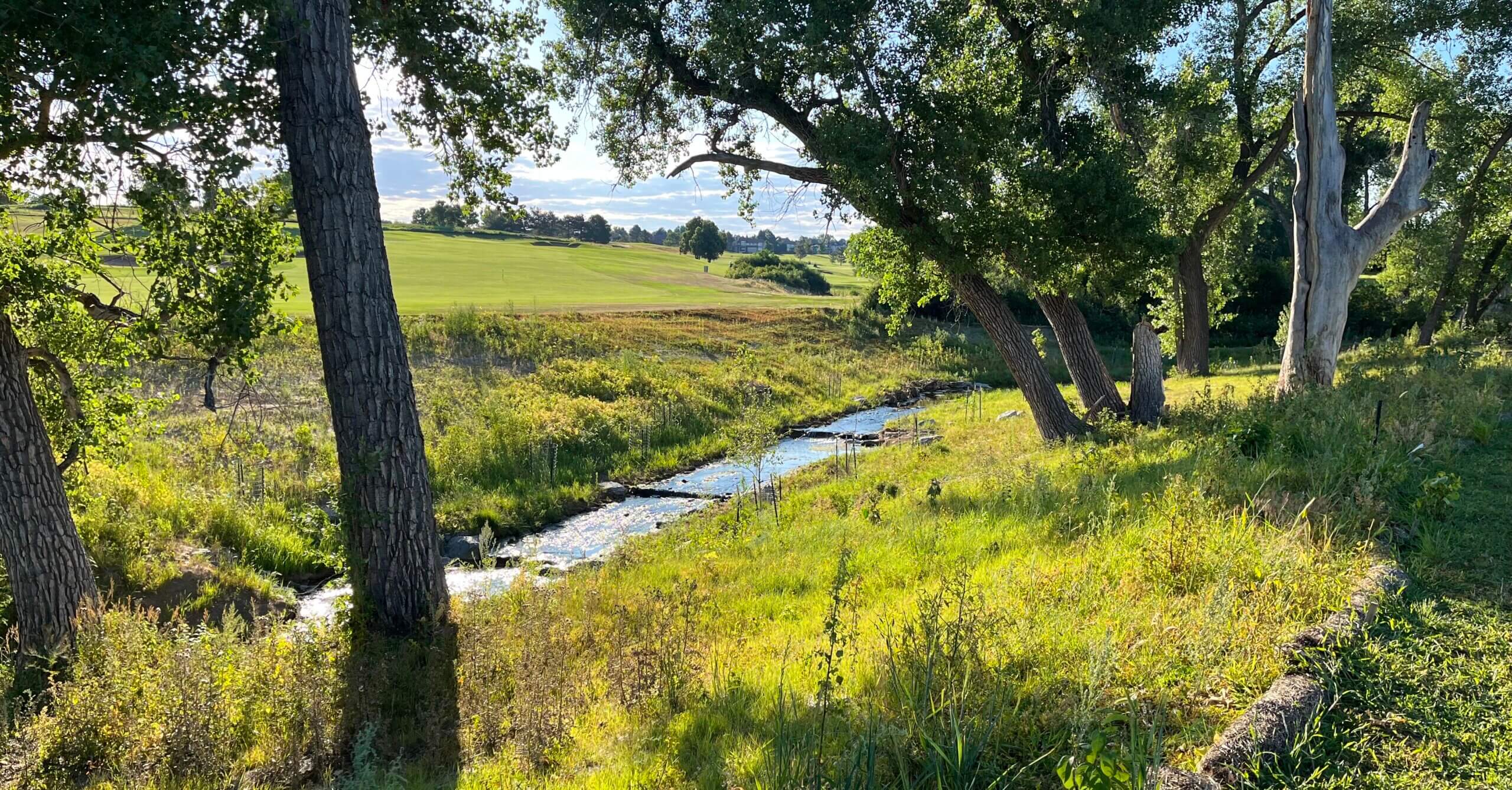 Willow Creek Stream Restoration Project | ICON
