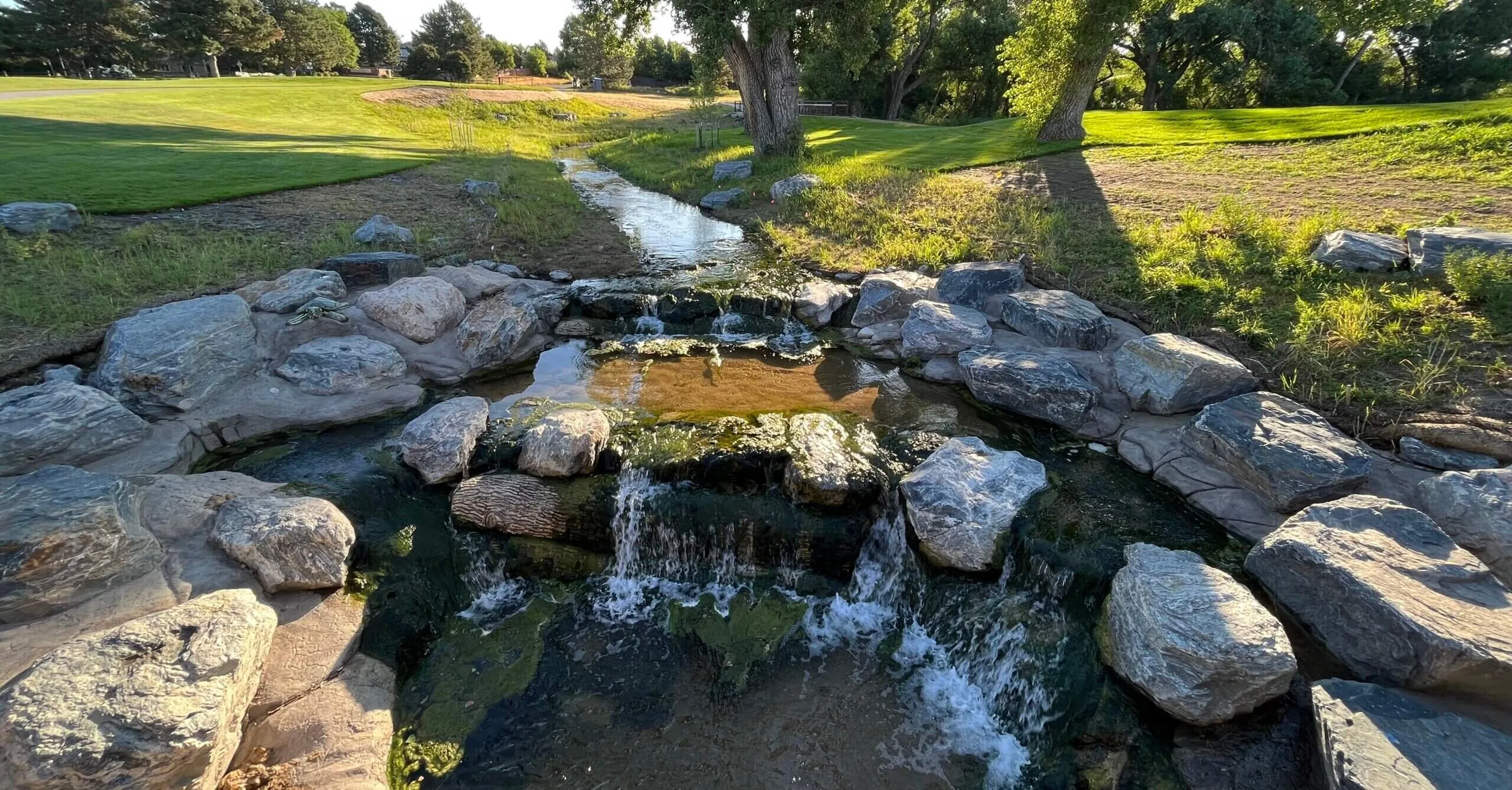 Willow Creek Stream Restoration Project | ICON
